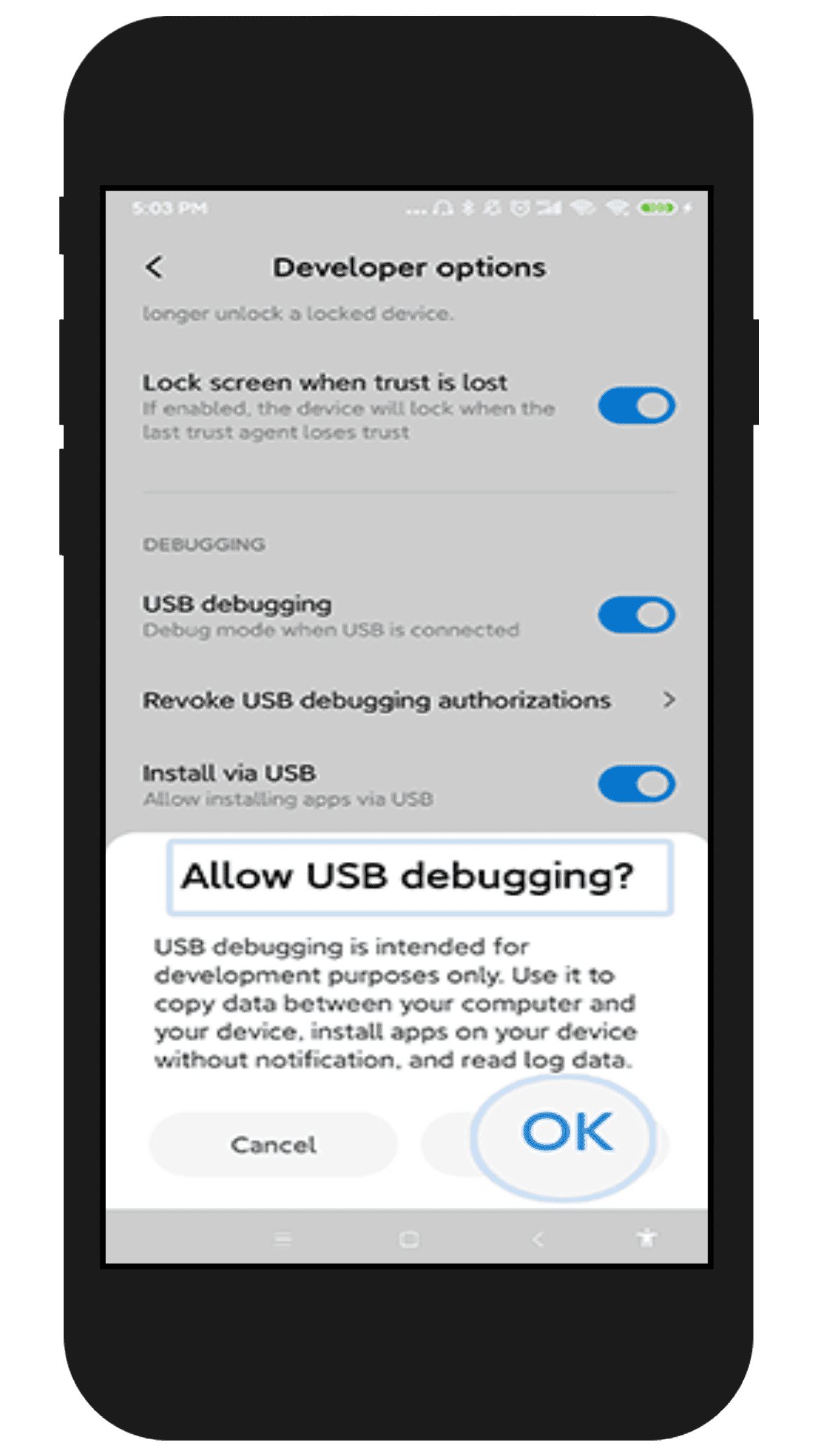 How to Enable USB Debugging on Xiaomi Phones